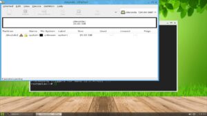 Slax Linux – Debian richtig schlank – Einführung – Linux-Bibel
