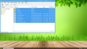 Slax Linux – Debian richtig schlank – Einführung – Linux-Bibel