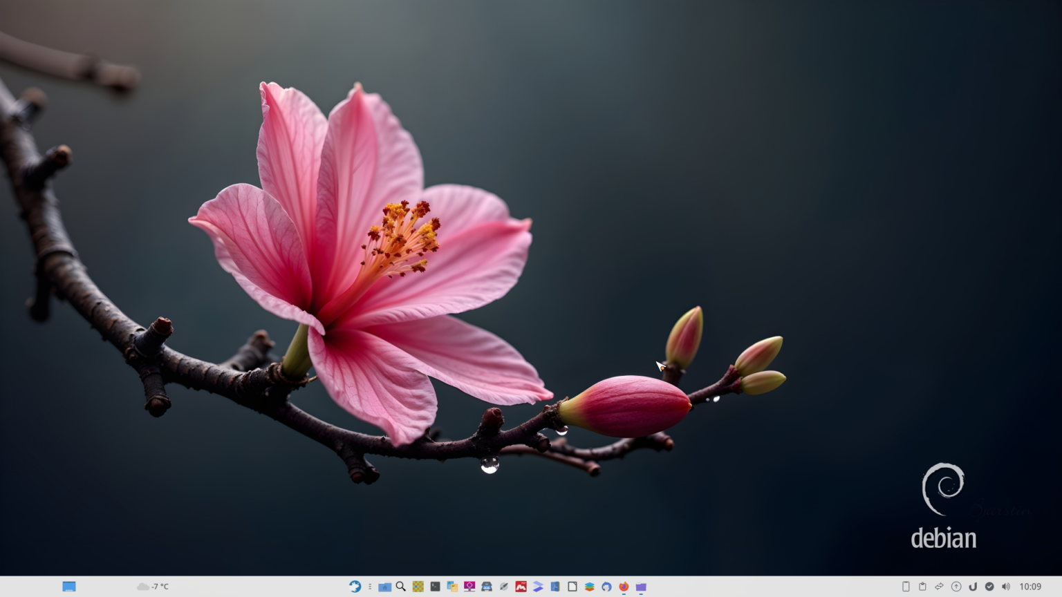 Desktop-Vielfalt unter Linux: Mein Favorit – Linux-Bibel
